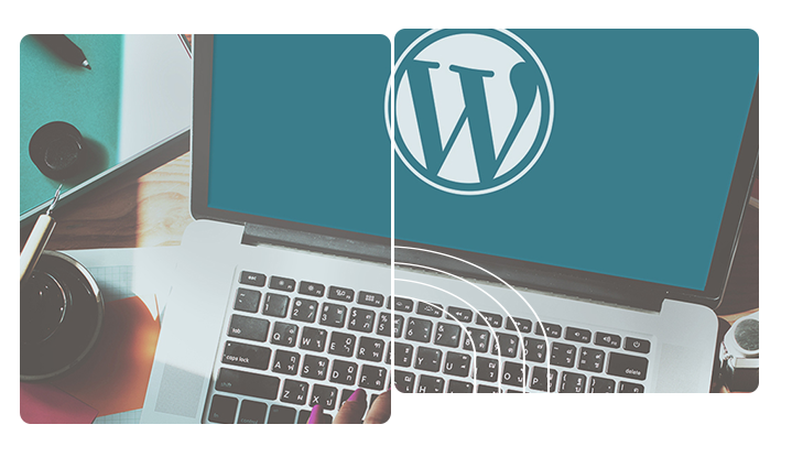 WP Premium Support - WordPress Support - InslyHost